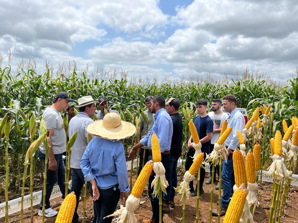 Programa Prospera - Global Communities Brasil